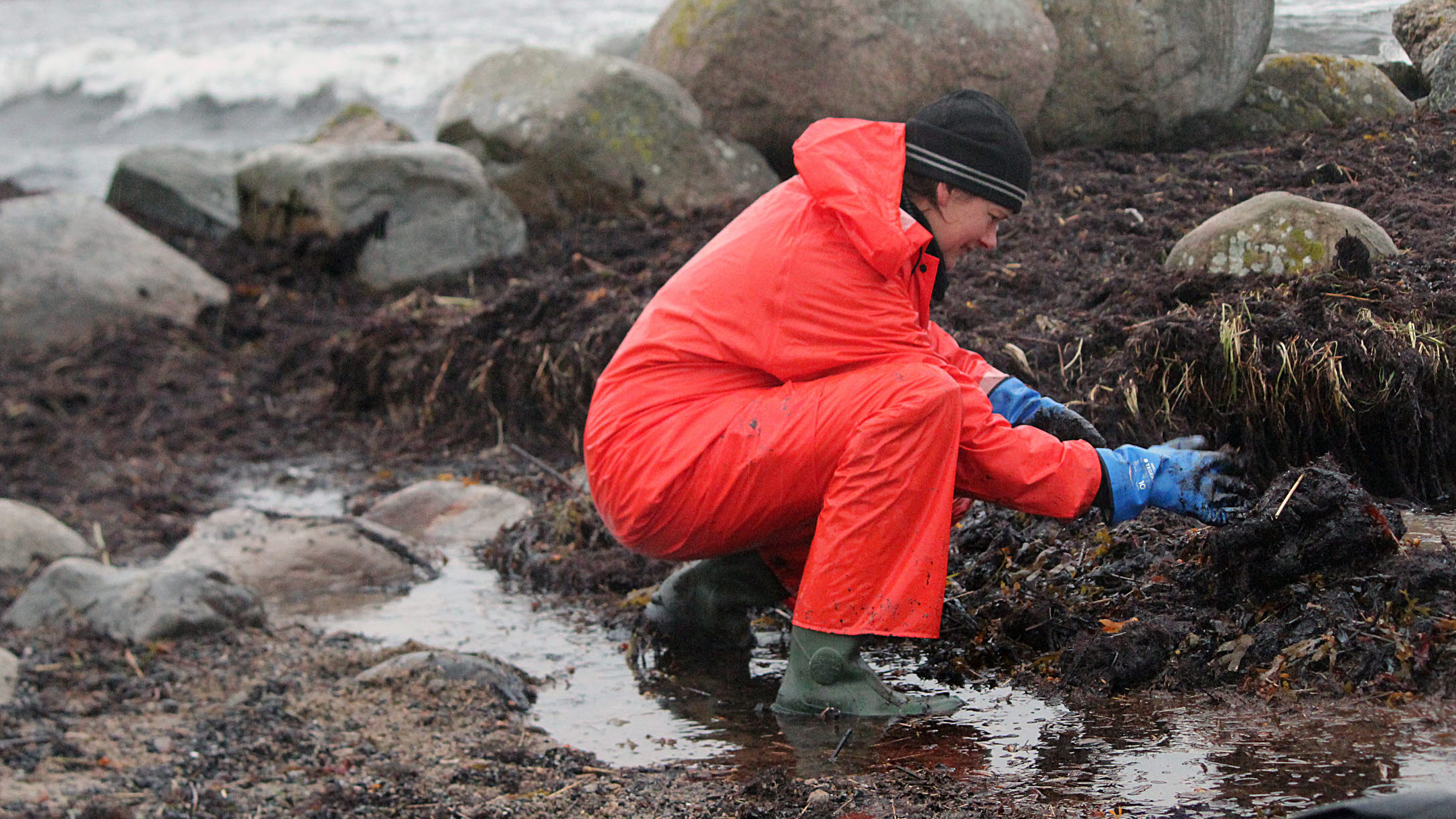 Sjöfartstidningen - MSB får ersättning för Marco Polo-sanering